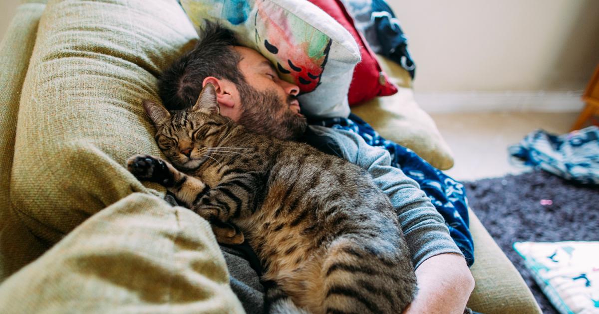 Über die starke Bindung zwischen Mensch und Tier