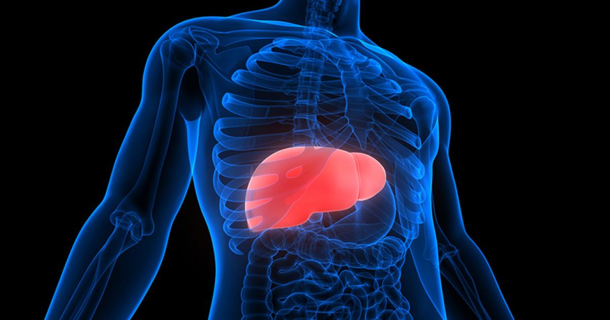 Wann Leberwerte normal und wann sie erhöht sind