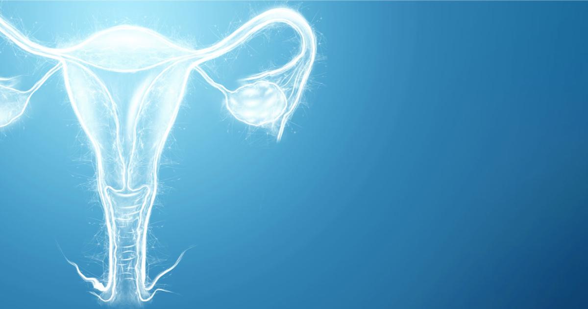 Gebärmutter (Uterus): Anatomie und Funktion
